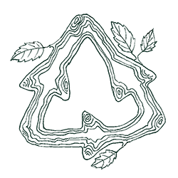 Giant Trolls